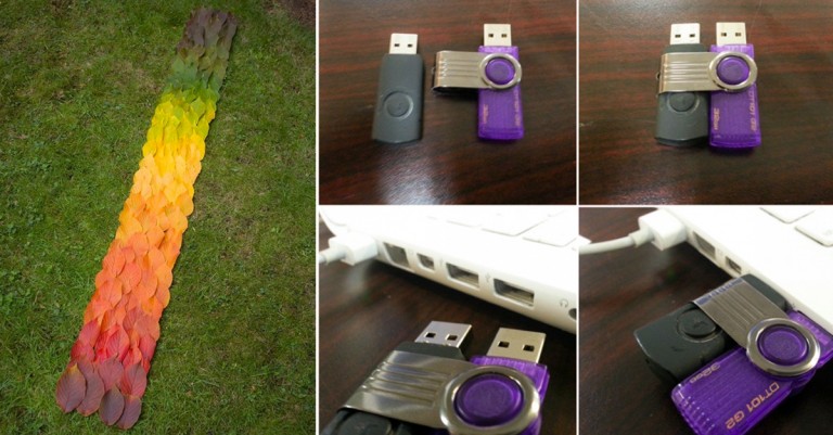 Estas 20 imágenes son tan perfectas que te harán el día