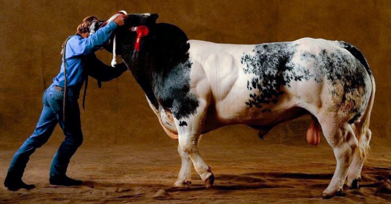 La Guía Del Varón – Page 667