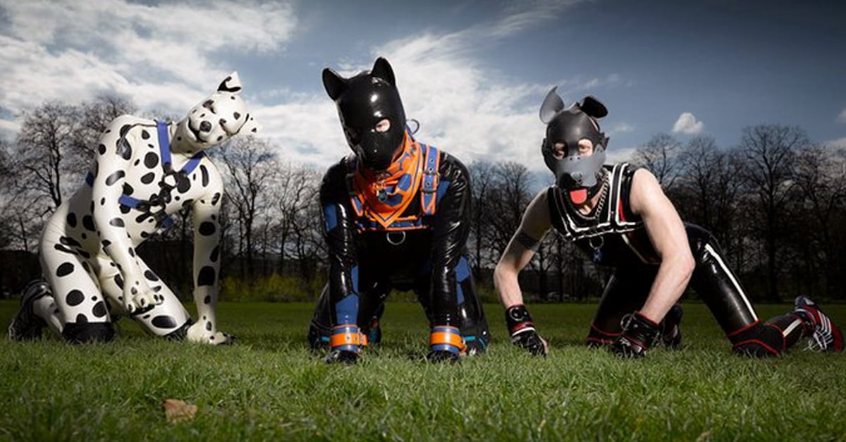 Los cachorros humanos rompen Internet con su rareza pura