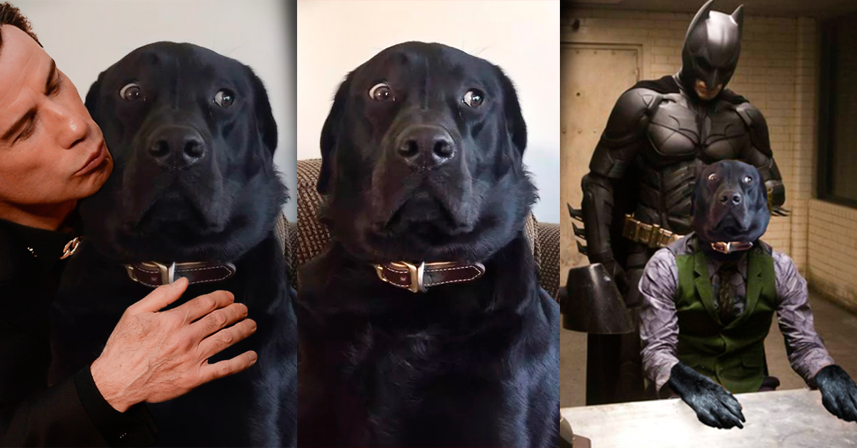 25 Celebridades con una mirada que enamora a cualquiera