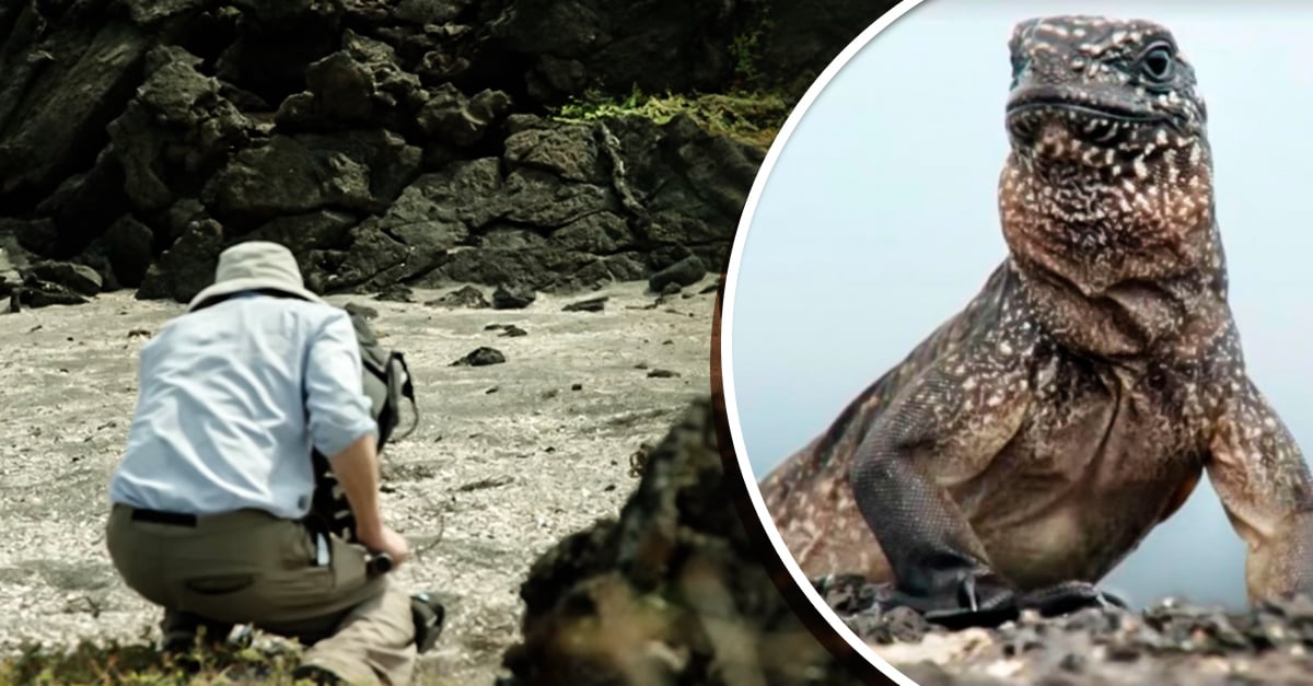 Detrás de cámaras del video de la Iguana de la BBC