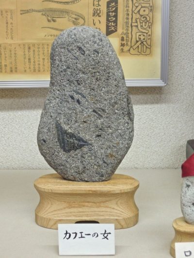 El extraño museo japonés que exhibe rocas que tienen caras