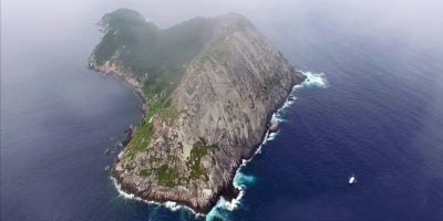 Isla de las Cobras: La isla más peligrosa del mundo