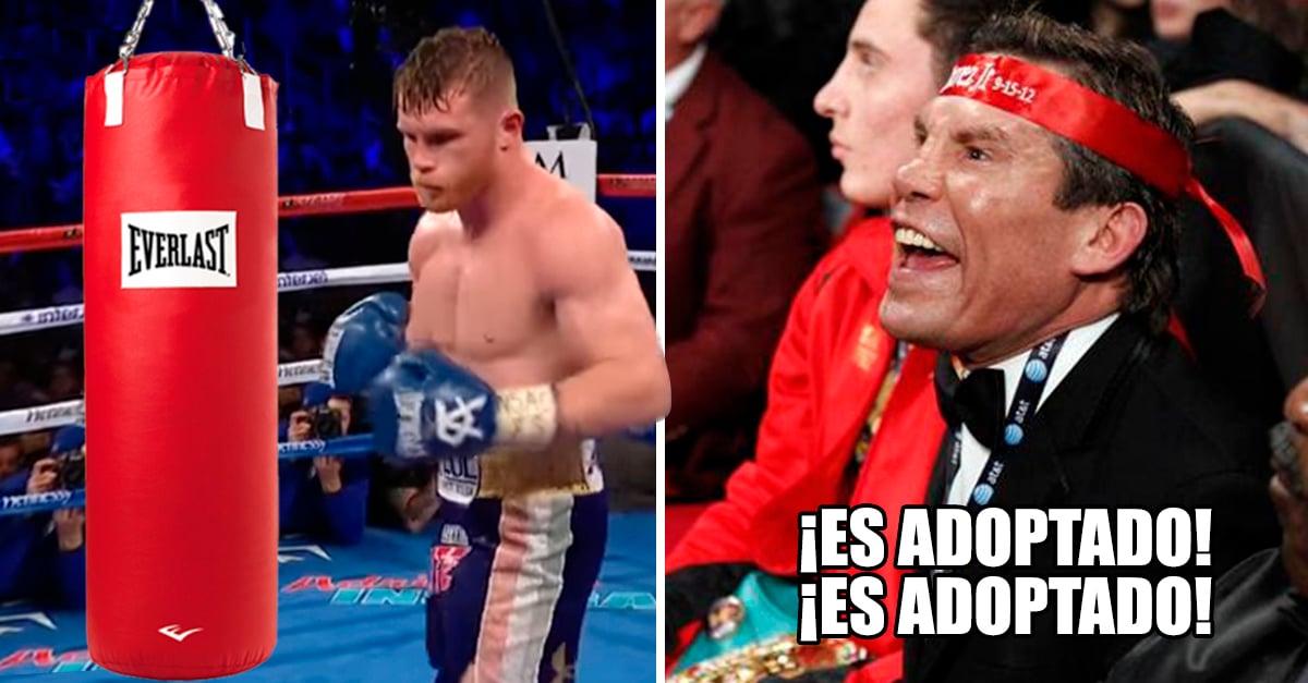 El nuevo trabajo de la leyenda del boxeo, Julio César Chávez