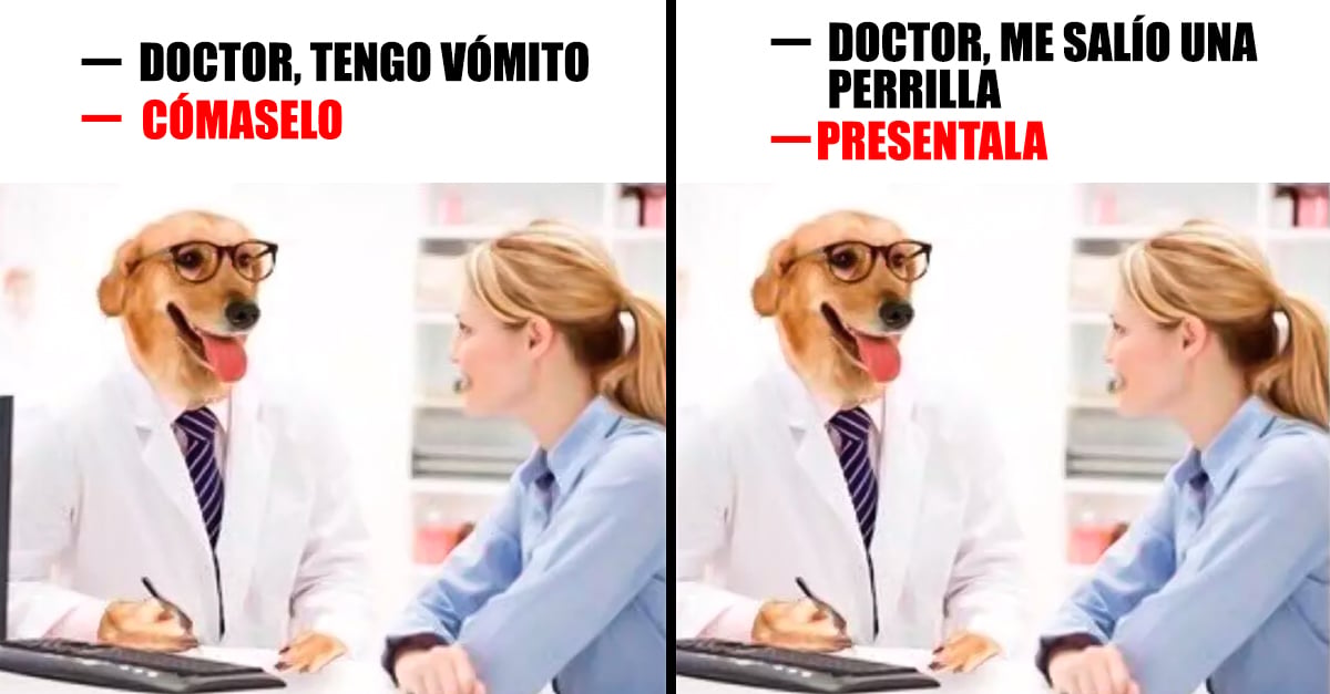 22 memes que demuestran que necesitas al doctor perro