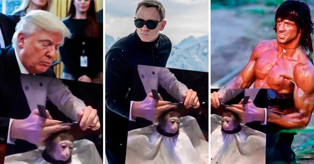 Memes Para Cortar El Pelo