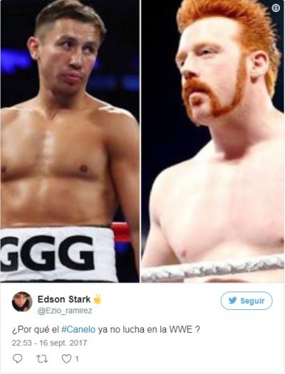 La pelea de Canelo contra Golovkin resumida en estos memes