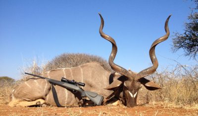A punto de la primera extinción masiva desde los dinosaurios