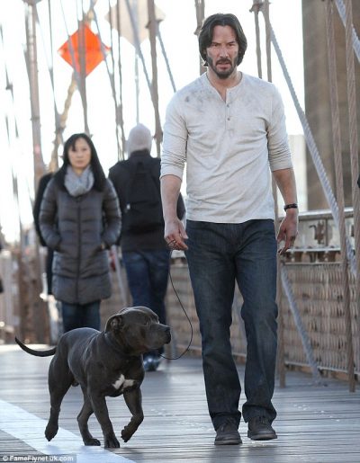 Keanu Reeves tiene fundación secreta para curar el cáncer