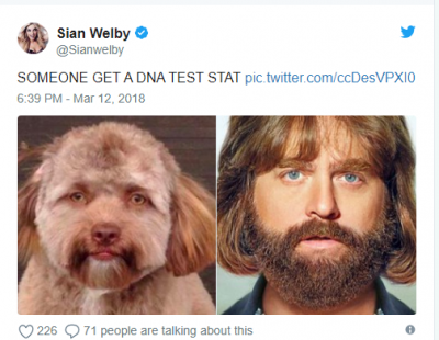 Perro con cara de humano se hace viral; y te parece conocido