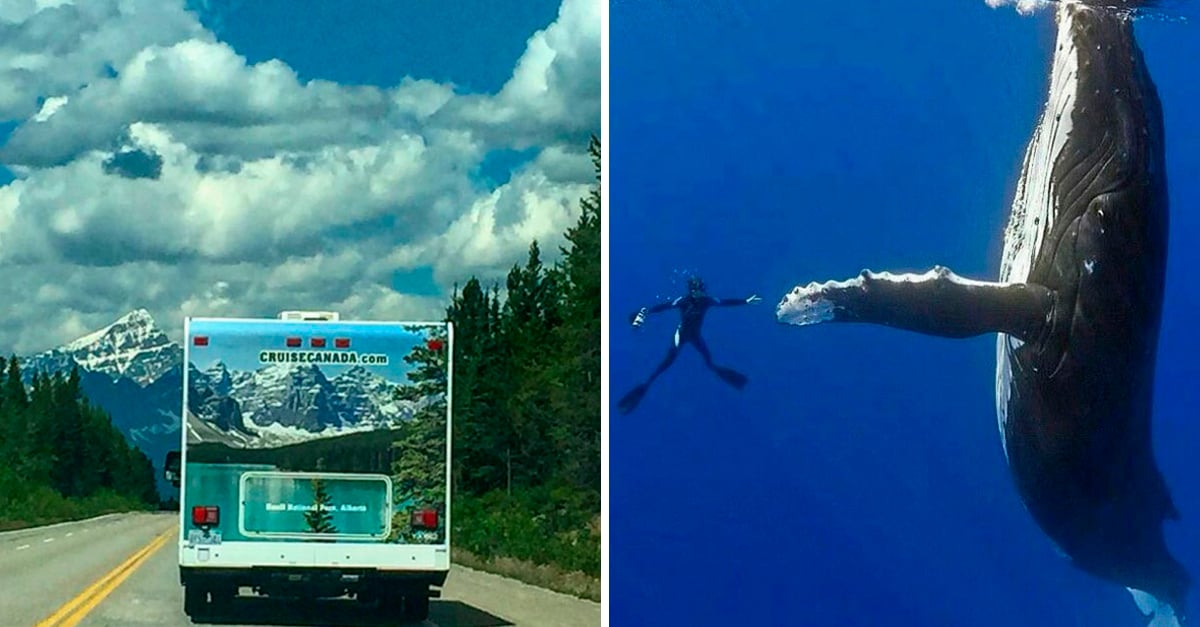 26 Cosas random que no te topas todos los días