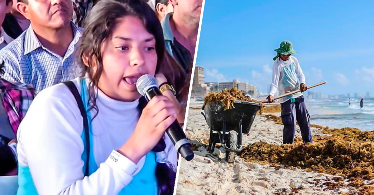 Lady Coral Blanco tenía razón, las algas sí es una energía
