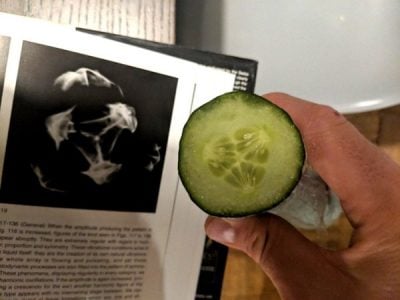 26 Cosas random que no te topas todos los días