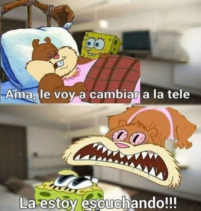 Los mejores memes de bob Esponja y Arenita Mejillas