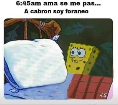 Los mejores memes de bob Esponja y Arenita Mejillas