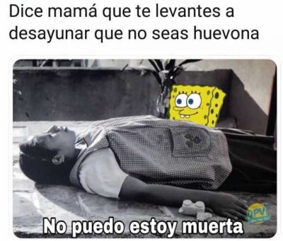 Los mejores memes de bob Esponja y Arenita Mejillas