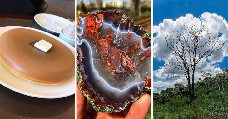 Estas 20 imágenes son tan perfectas que te harán el día