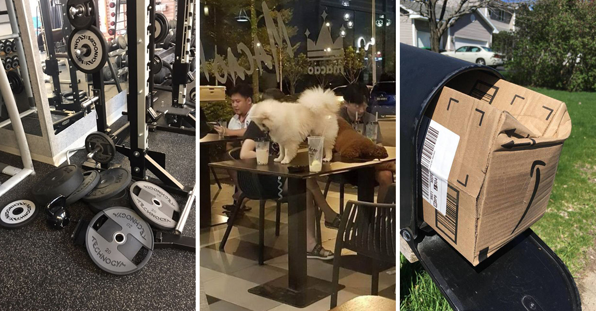 25 Fotos de gente que solo quiere ver el mundo arder