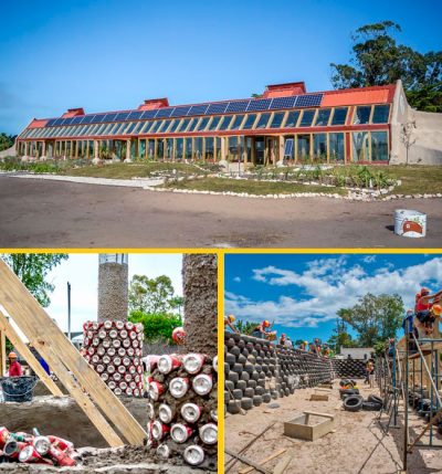 13 Proyectos ambientales que están salvando al mundo