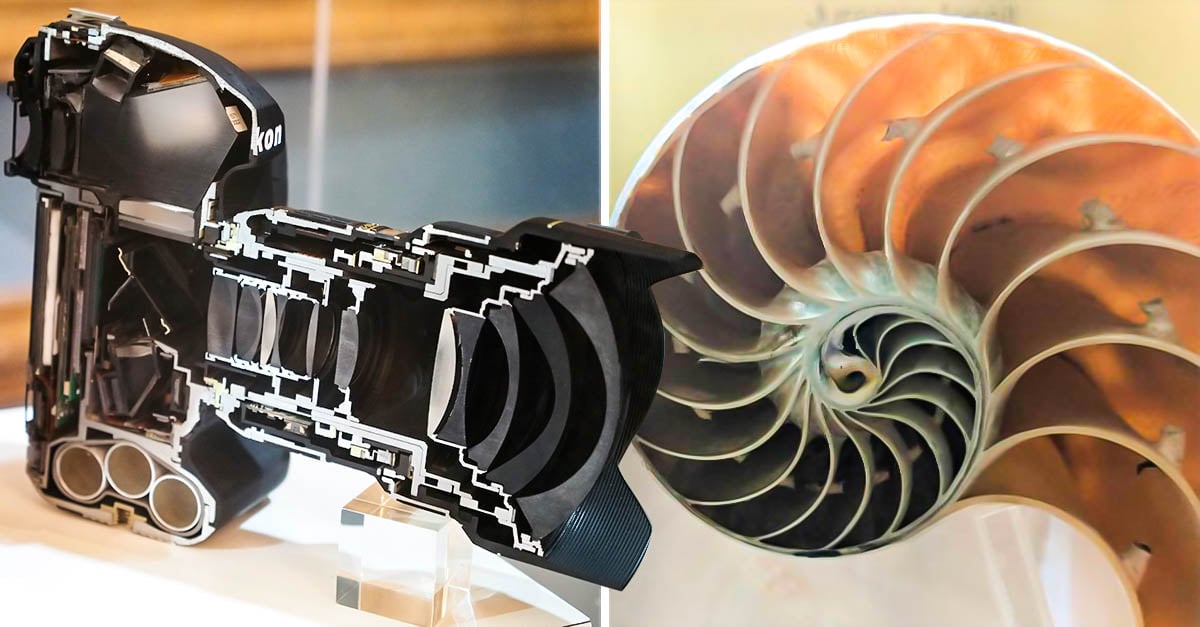 25 Objetos antiguos que todavía sirven y son un tesoro