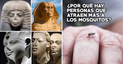 20 Imágenes que responden a la pregunta ‘¿Qué pasa si…?’