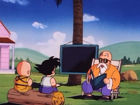 El entrenamiento y las enseñanzas del maestro Roshi