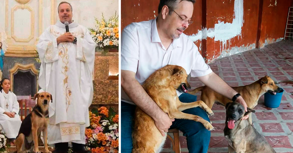 Sacerdote da misas con perritos para que los adopten