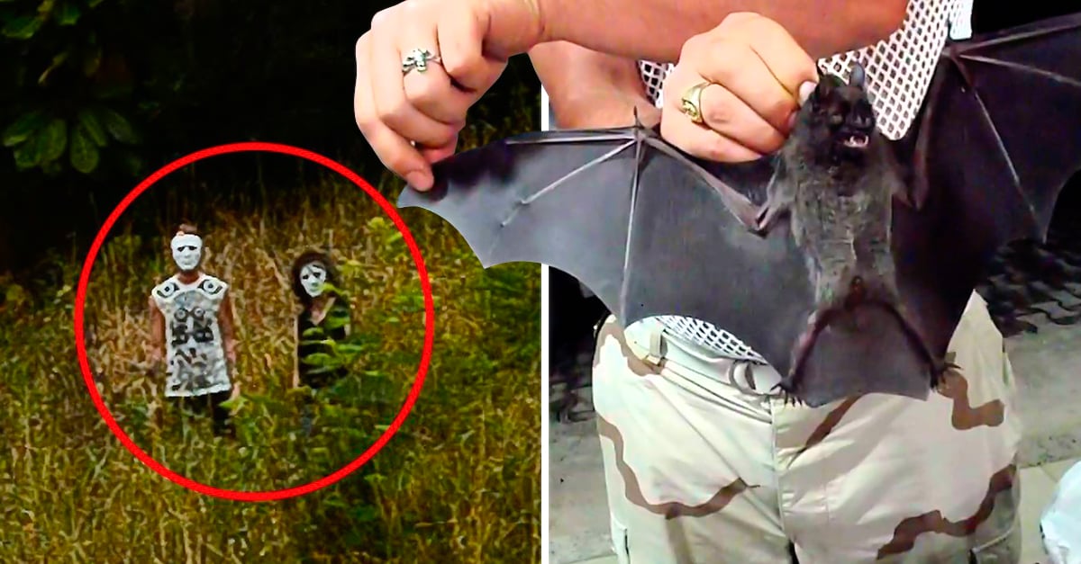 15 Historias de famosos que son muy amables en la vida real