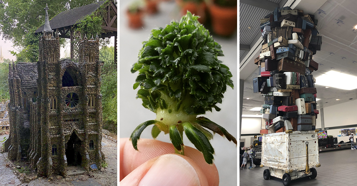 21 Cosas increíbles que te puedes encontrar en el mundo pero que no se ...