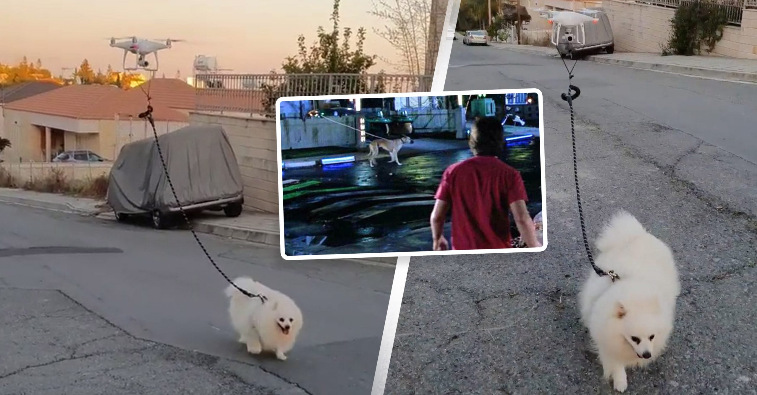 Ante la cuarentena, saca a pasear a su perro con un dron
