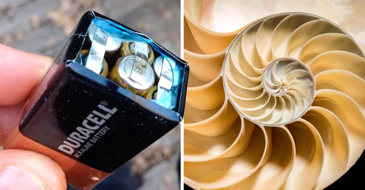 22 Cosas comunes que nos muestran su genial interior