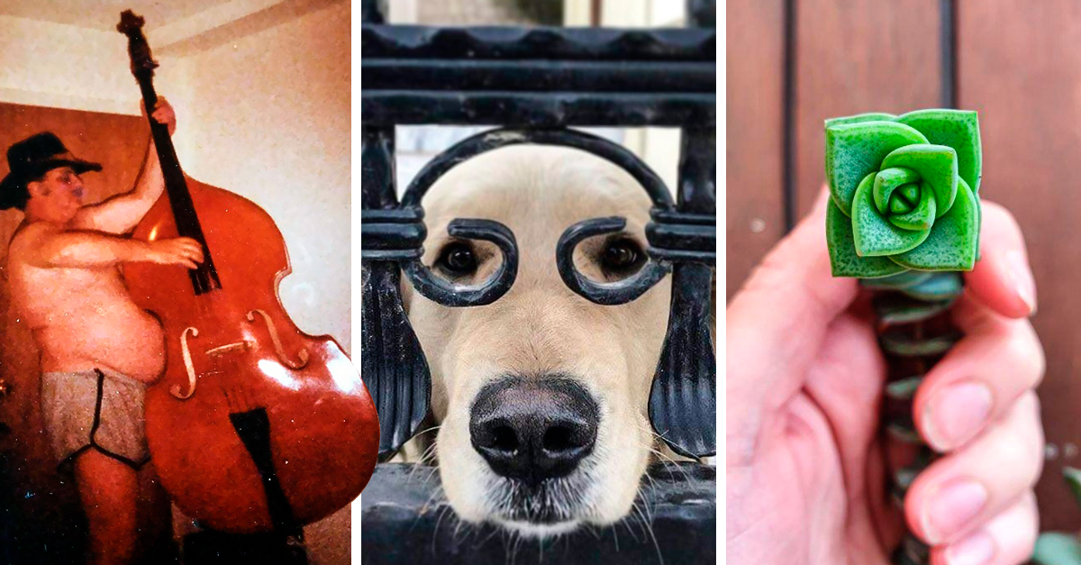 20 Fotografías perfectas que te causarán paz interior