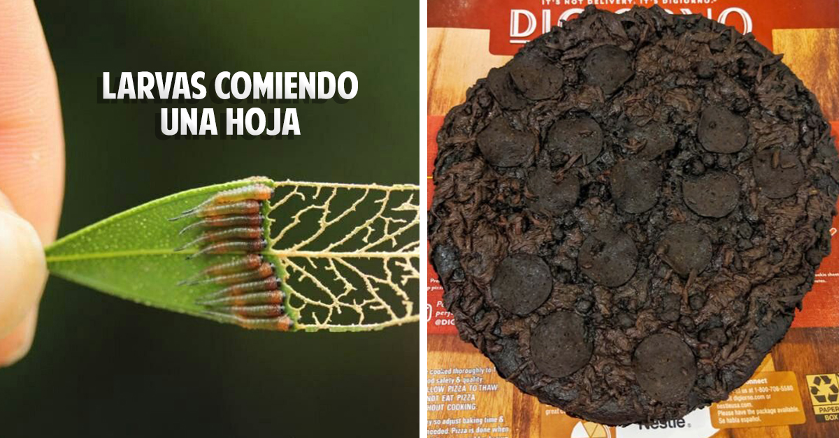 20 Imágenes de cosas increíbles que nunca habías visto