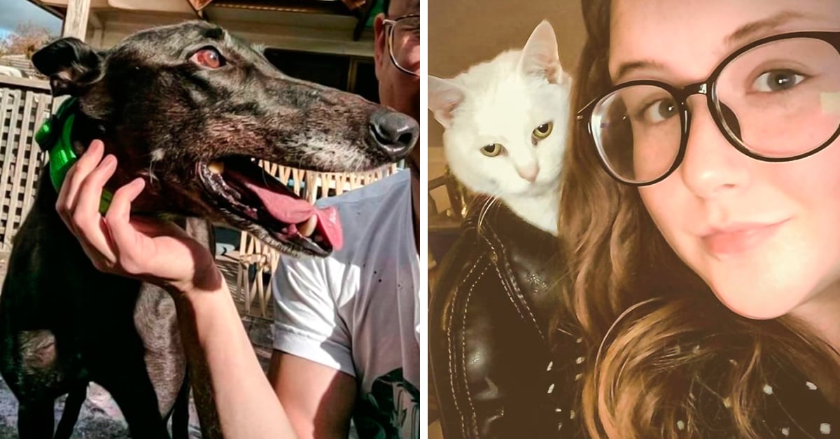 20 Imágenes raras que verás dos veces para entenderlas