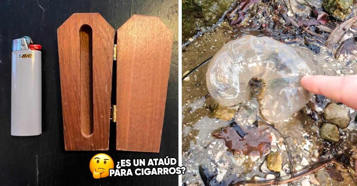 15 Extraños objetos descifrados con ayuda de internet