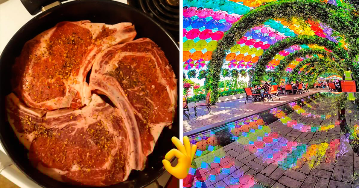 21 Imágenes perfectas que te harán sentir muy bien