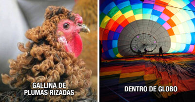 30 Cosas asombrosamente raras que no ves todos los días