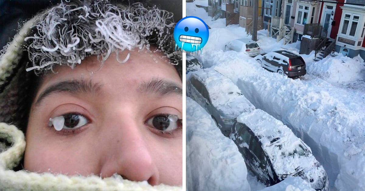 18 Imágenes bajo cero que te darán frío con solo verlas