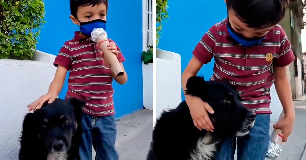 Niño entrevista a perrito callejero y se hace viral