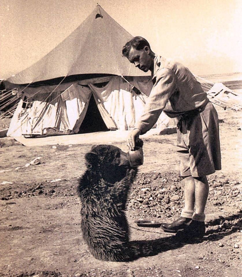 La historia de Wojtek, el oso soldado del ejército polaco La historia de Wojtek, el oso soldado del ejército polaco