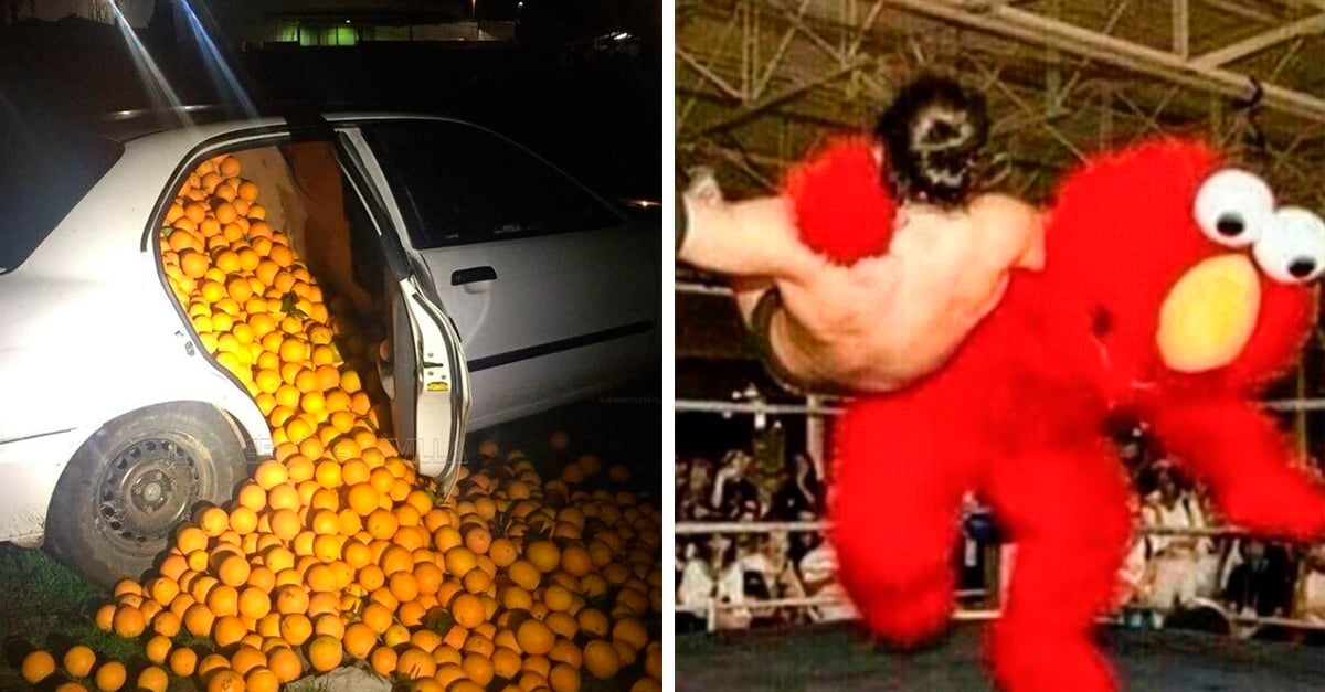 30 Fotografías graciosas que necesitan explicación