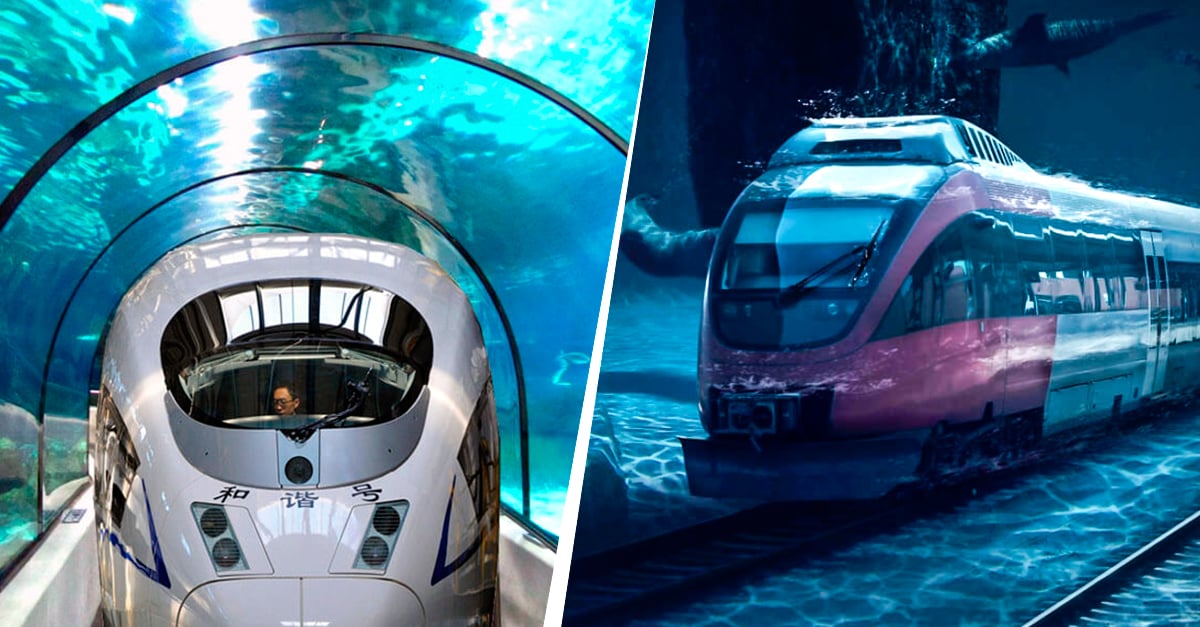 Tren submarino que conectará a China y Estados Unidos