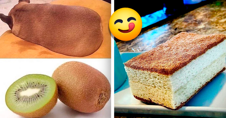 31 Restaurantes que sirven su comida de la forma más rara