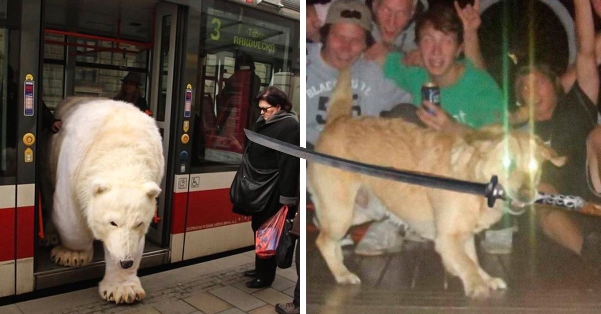 30 Fotografías graciosas que necesitan explicación