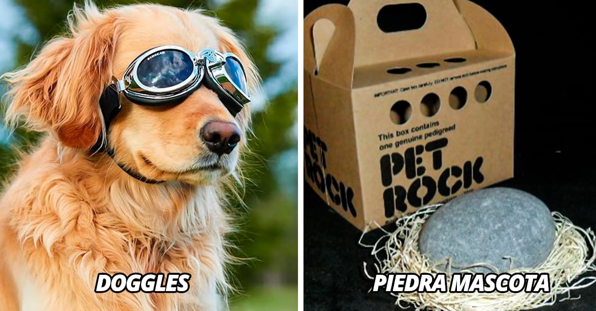 10 Ideas absurdas que fueron un éxito millonario en ventas