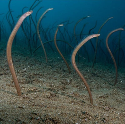 20 Imágenes que te harán temerle al mar y al océano