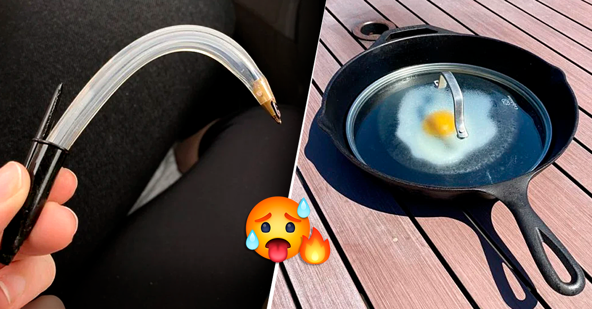20 Imágenes de lo que pasa en un día con mucho calor