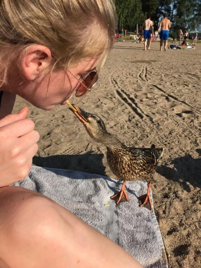 35 Increíbles imágenes random encontradas navegando en internet