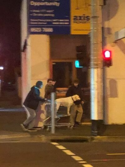 35 Increíbles imágenes random encontradas navegando en internet