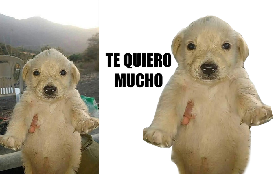 Estas son las imágenes originales que dieron vida a algunos memes